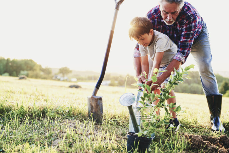 Call Before You Dig – Welcome to PVT